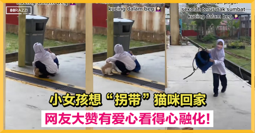 【人心善良爱惜动物！】小女孩想“拐带”猫咪回家，网友大赞有爱心看得心融化！（内附视频） | 88razzi